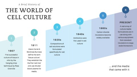 A Brief History Of Cell Culture | Nucleus Biologics