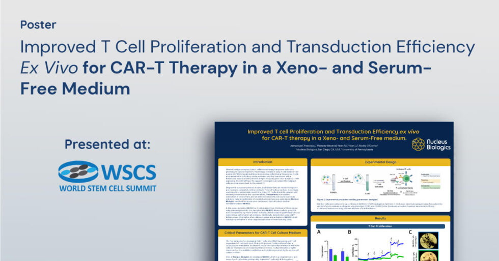 Improved T Cell Proliferation And Transduction Efficiency Ex Vivo For ...