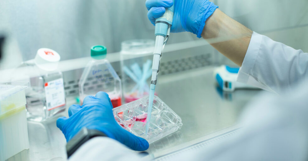 Custom Cell Culture Media | Nucleus Biologics