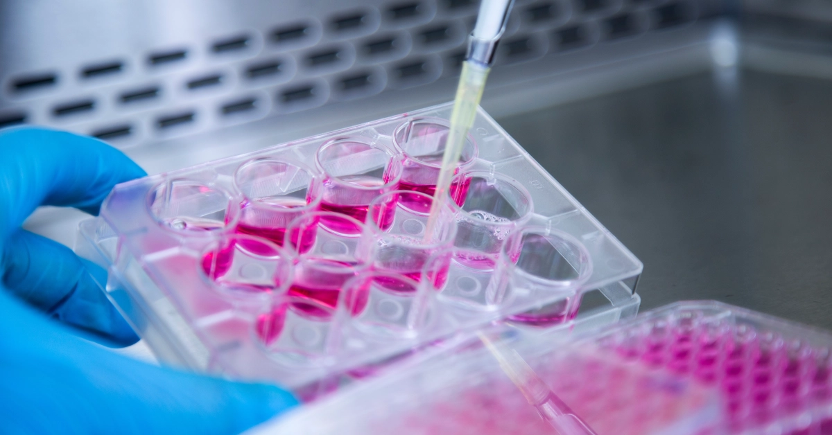 Nucleus Biologics | High-Quality Cell Culture Solutions